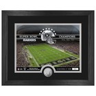 Las Vegas Raiders NFL Stadium Golden Coin Photo Mint | eBay
