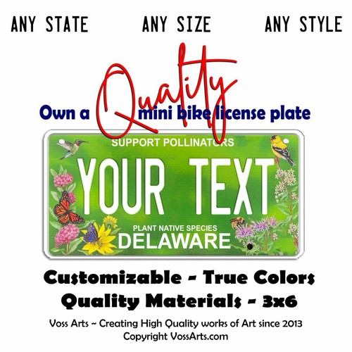 Delaware License Plate Pollinators custom Car Bike Key chain Luggage ...