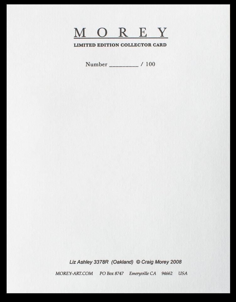 Liz Ashley 3378 Artistic Female Model Collector Card Signed by Craig ...