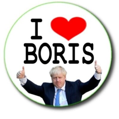 I LOVE BORIS BRING BACK BORIS JOHNSON" -CONSERVATIVES -TORY- ELECTION ...