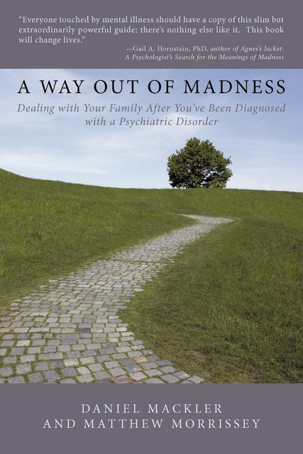 A Way Out of Madness von Daniel Mackler (2010, Taschenbuch) online ...