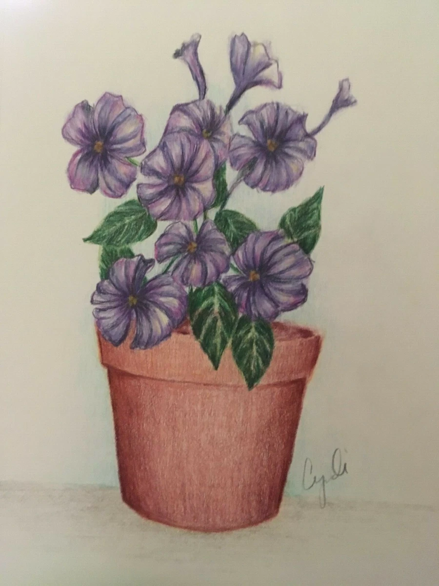 Flower Pot Drawing With Pencil Colour | Best Flower Site