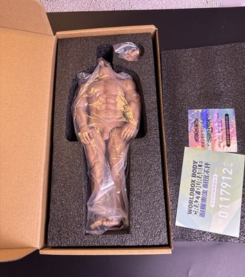 Worldbox 1/6 Scale Durable Large Muscular Strong Male Body WB-AT030 ...