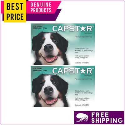 Capstar for Large Dogs Over 11 Kg Green Pack 12 Doses Flea Prevention ...