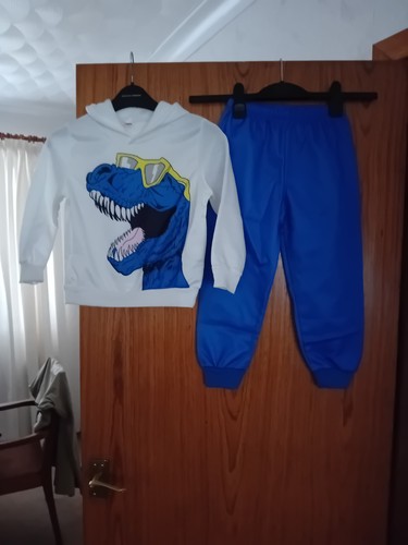 TEMU BOYS MULTICOLOURED HOODIE DINASAUR TRACKSUIT SIZE 110 ( 4/5 YEARS ...