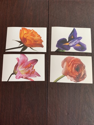 Set Of 4 Floral Postcards New | eBay