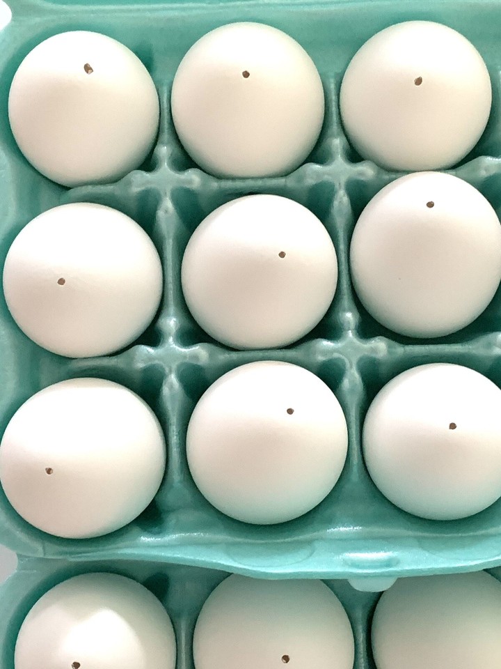 36 Clean Blown Eggs Empty Eggs Hollow Easter Crafts Christmas Ornament ...