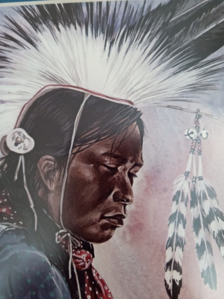 Troy Anderson Signed, Print, Native American | eBay