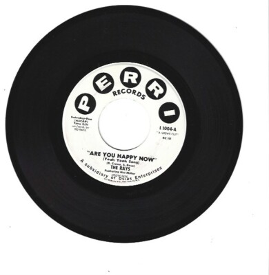 THE RAYS - 45 RPM VOCAL GROUP - PERRI RECORDS "ARE YOU HAPPY NOW" | eBay