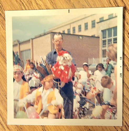 Original 1968 Photo Chicago/Argo Illinois Parade With White Pekingese ...