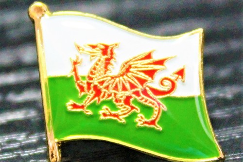 WALES Welsh Metal Flag Lapel Pin Badge *NEW*MIX & MATCH BUY 3 GET 2 ...