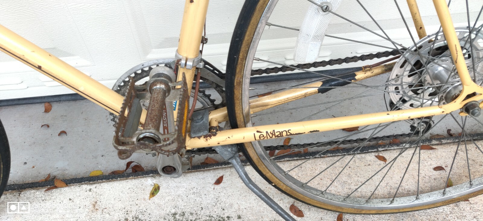 VINTAGE LE MANS CENTURION BICYCLE MADE IN JAPAN. LOCAL PICKUP ONLY | eBay