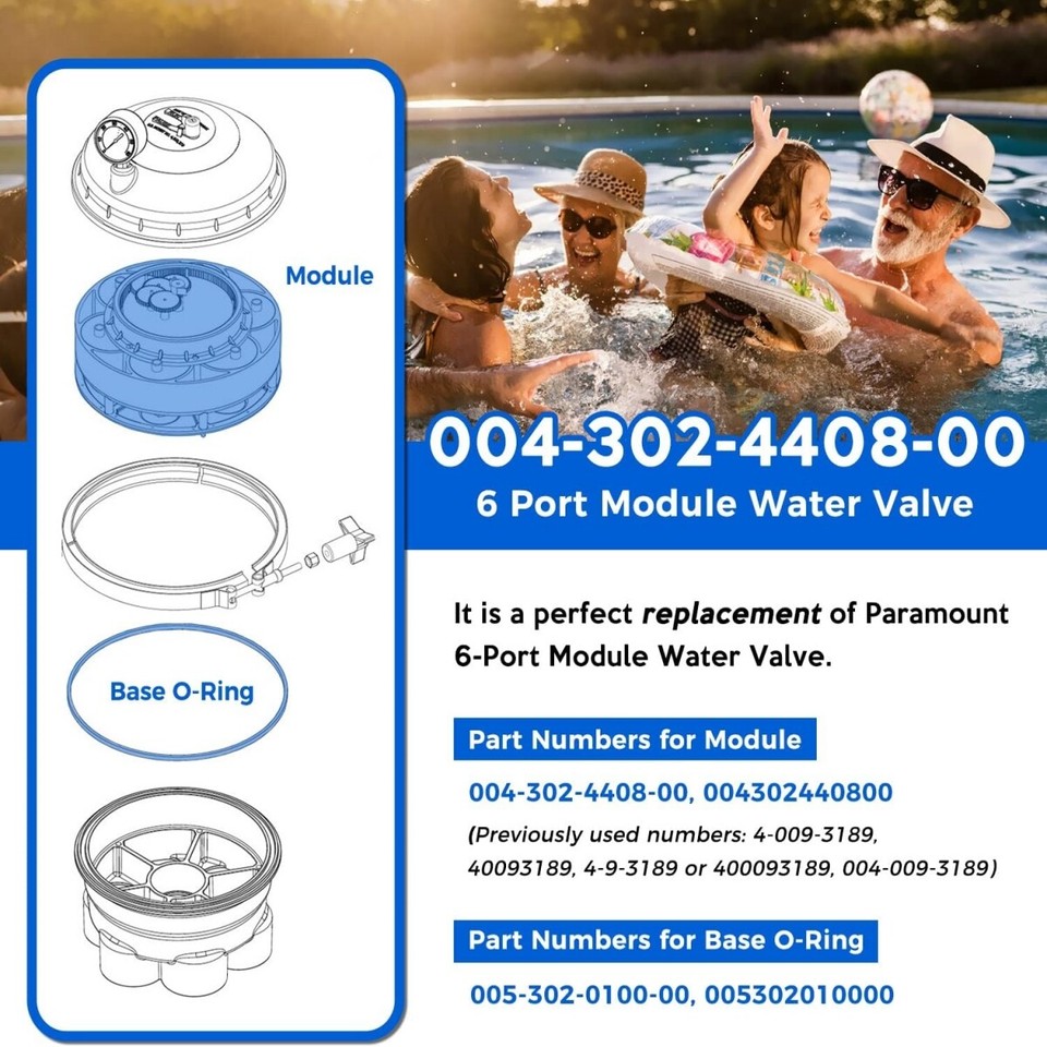 004-302-4408-00 For Paramount 6 Port Module Water Valve With Valve ...