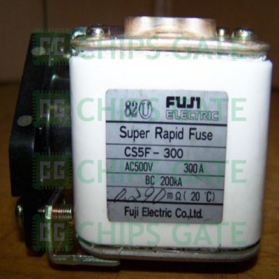 1PCS NEW CS5F-300 CS5F300 FUJI SUPER RAPID FUSE | eBay