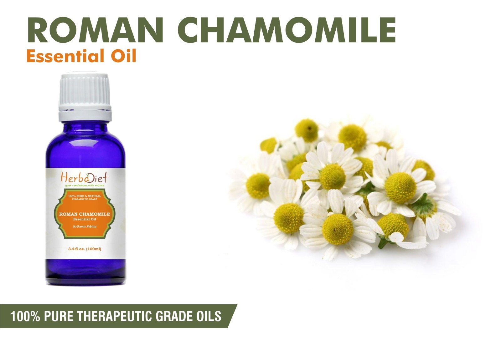 Chamomile Roman Essential Oil Pure Natural Aromatherapy Therapeutic ...