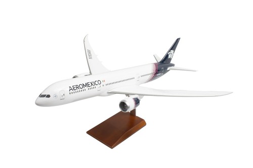 Skymarks SKG78100 Boeing 787-9 Dreamliner N183AM Desk Display 1/100 Jet ...