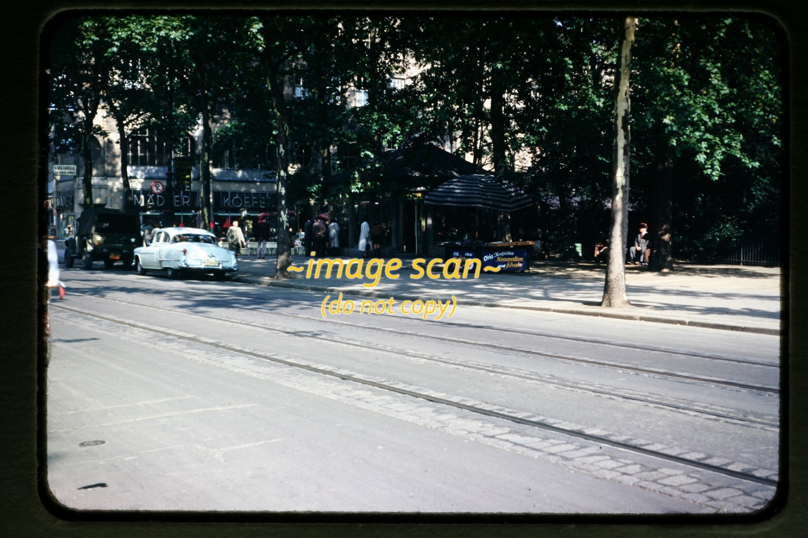 1954 Frankfurt, Germany, Goethe Park deutscheland, Original Kodachrome ...
