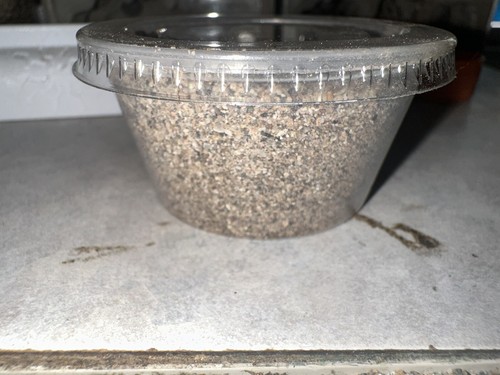 Queen Ant- Natural River Sand For Queen Ants | eBay