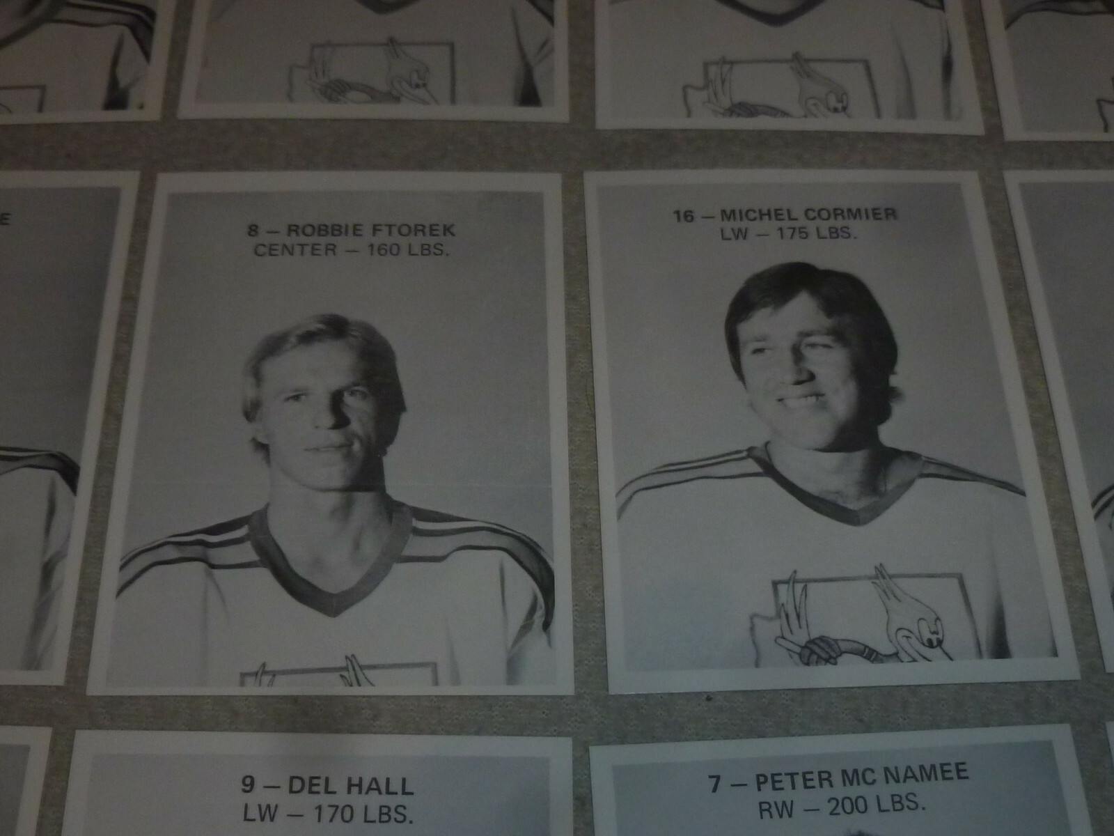 1975-76 WHA PHOENIX ROADRUNNERS TEAM PHOTO SET HOCKEY ROBBIE FTOREK ...