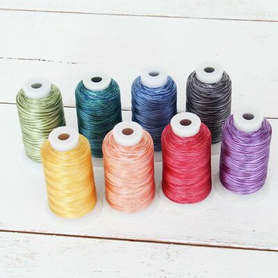 VARIEGATED POLYESTER EMBROIDERY THREAD 1000M SPOOLS 25 COLORS 40 WT ...