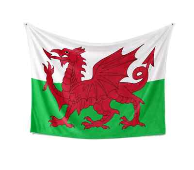 Wales Flag Welsh Dragon Custom Made Soft Warm Fleece Blanket Home Decor ...