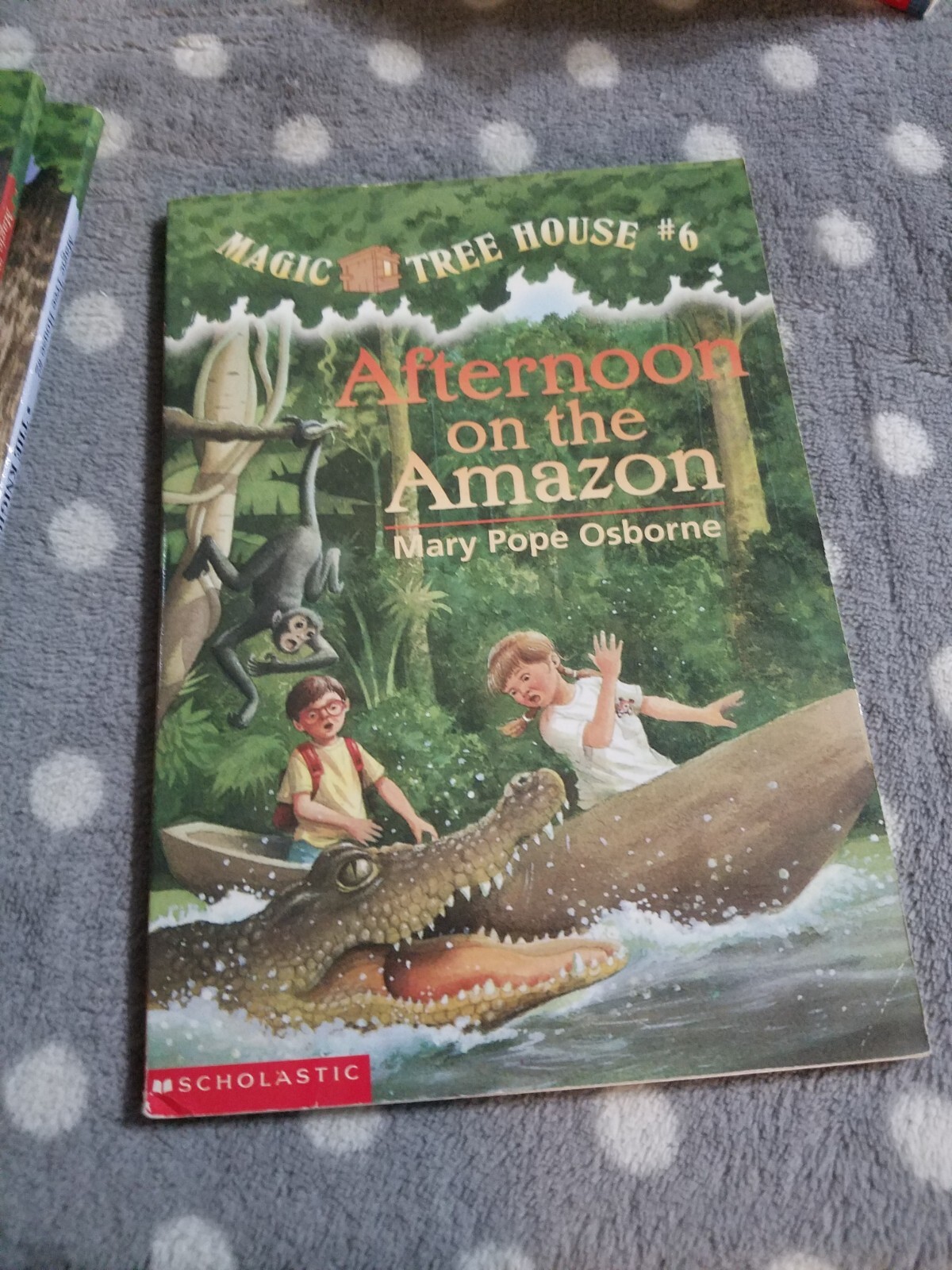 Magic Tree House Chapter Books ~ YOU CHOOSE, BUILD A LOT ~ Buy More ...