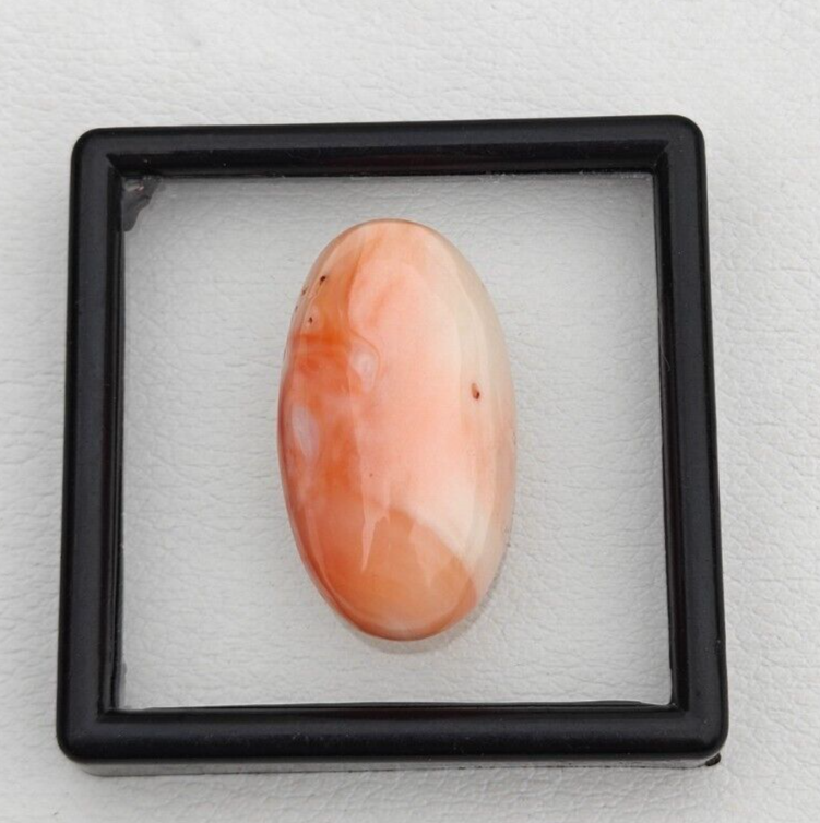 White Coral Gemstone