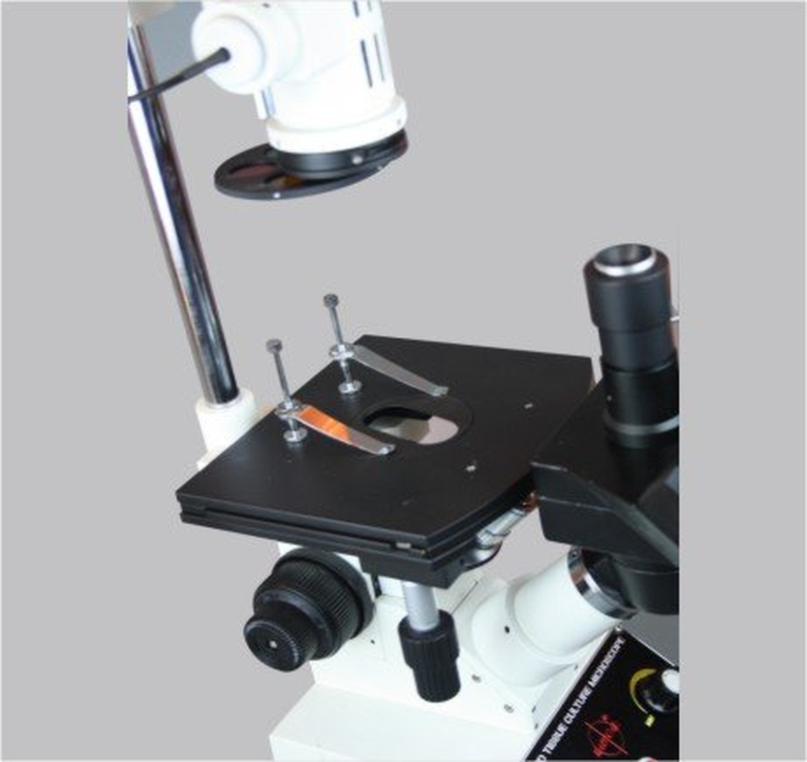 Radical Inverted Tissue Culture Medical Biology Lab Microscope with 3mp ...