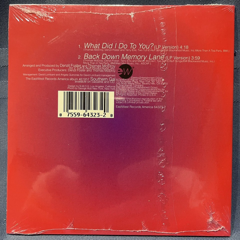 Terry Ellis “What Did I Do to You/Back Down Memory Lane” 1996 CD Single ...