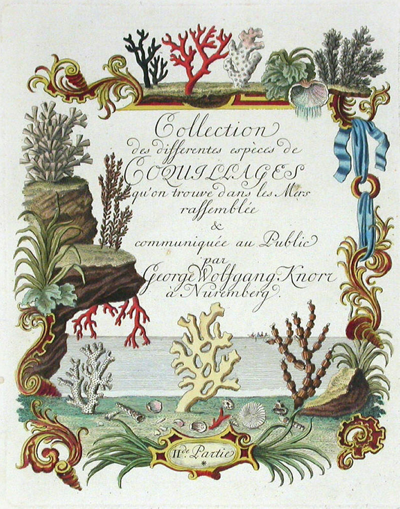 1757 George Wolfgang Knorr Sea Seashell Print Shell - 3TP Title Page | eBay