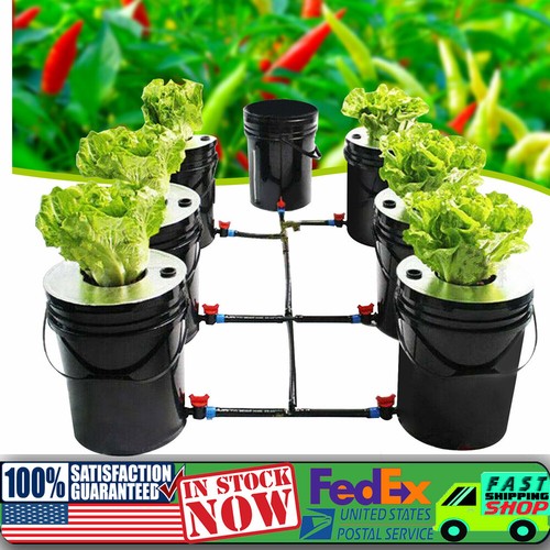 DWC 5 Gallons 6 Buckets Hydroponics Growing System Recirculating ...