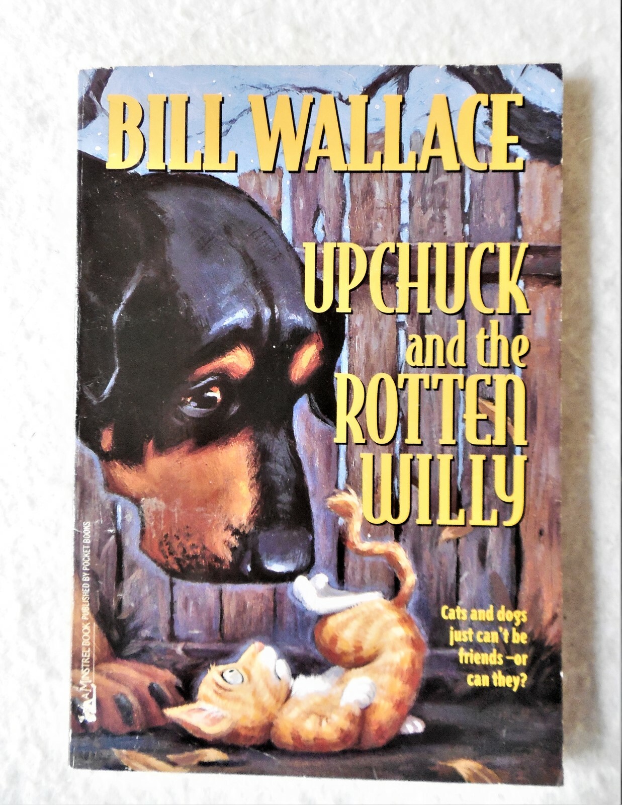 UpChuck and the Rotten Willy Softcover Chapter Book No.1 by Bill ...