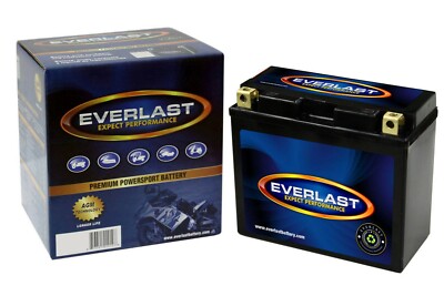 EVERLAST CT14B-BS - 12V AGM Sealed Maintenance-Free Battery | eBay
