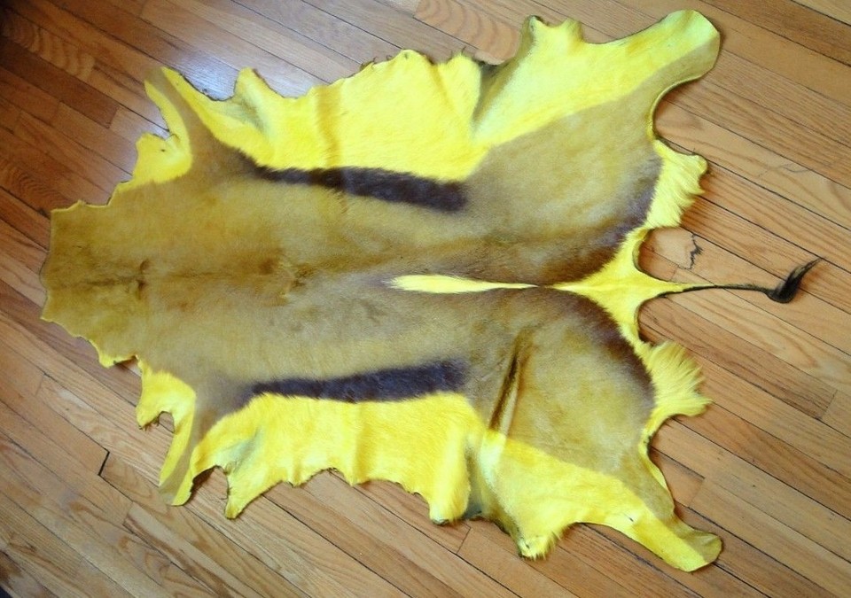 Dyed African Deer Skin Assorted dyed colors African springbok antelope ...