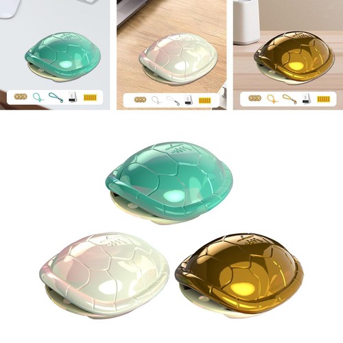 Turtle Good Luck Good Meanings Fortune Telling Toy for Party Family ...