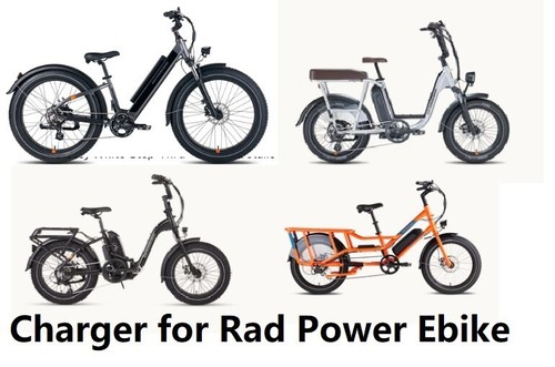 🔥smart Battery Charger For Rad Power Ebike radrover radcity radrunner ...