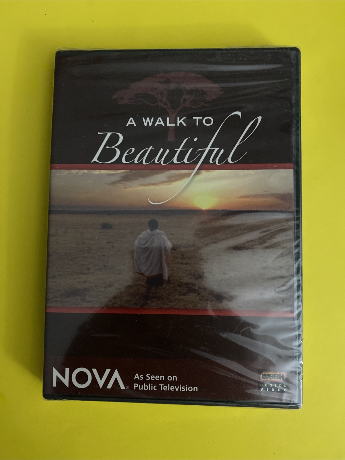 A Walk to Beautiful (DVD, 2008) for sale online | eBay