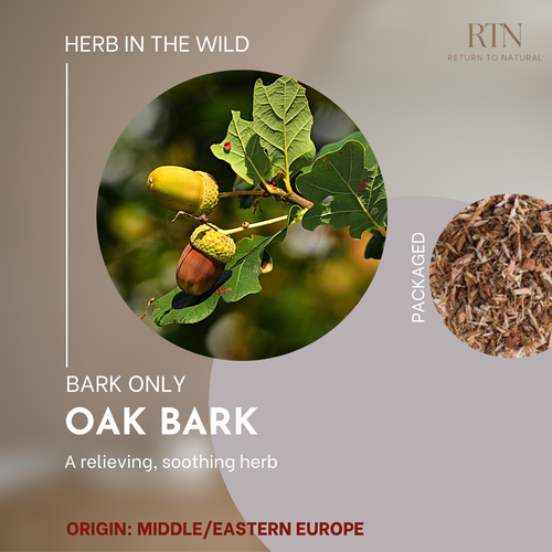 Oak Bark Dried Herb Tea Dąb Bartek High A Grade Quality Grown In Nature ...