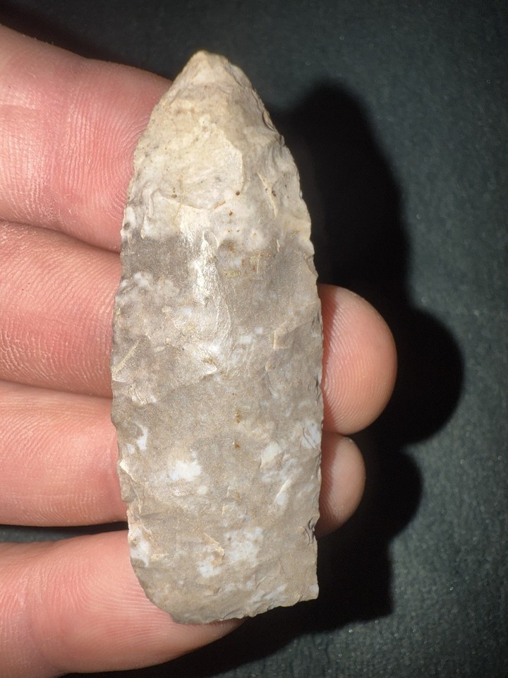 Angosuta Lanceolate Arrowhead Oklahoma | eBay