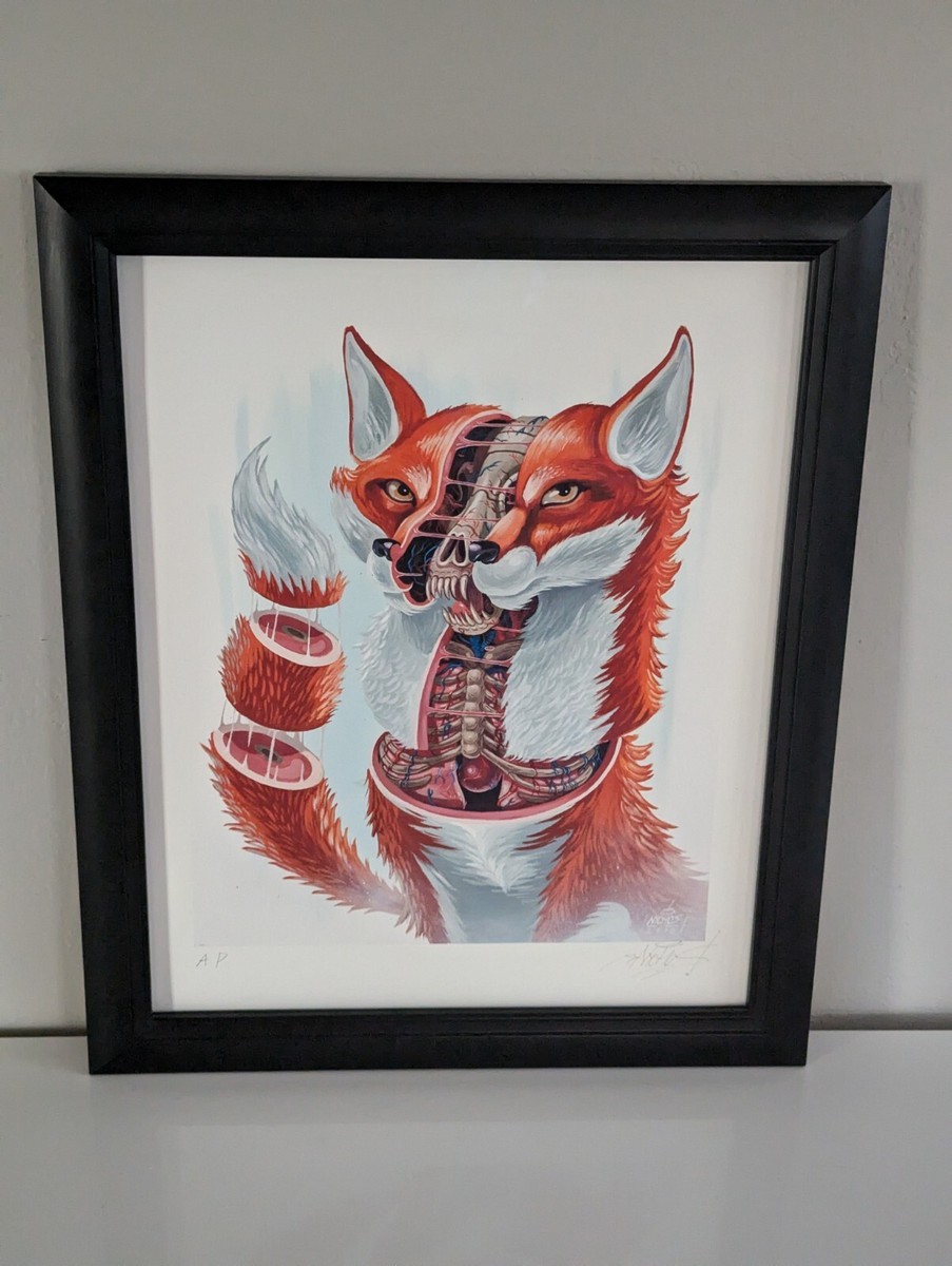 Fox Skeleton Tattoo 280+ Fox Skull Stock Illustrations, Royalty Free