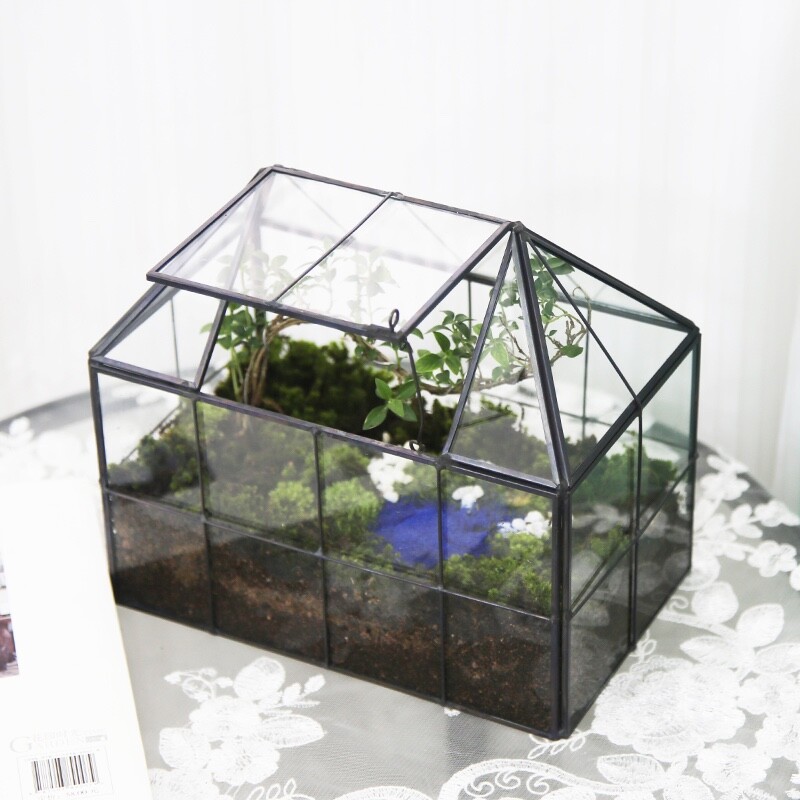 Indoor Miniature Greenhouse Terrarium 3 Ways To Make A Mini Greenhouse
