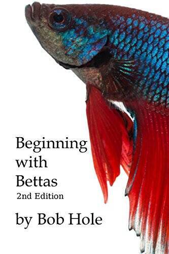 Beginning with Bettas - Paperback By Hole, Bob - GOOD 9781986675598| eBay