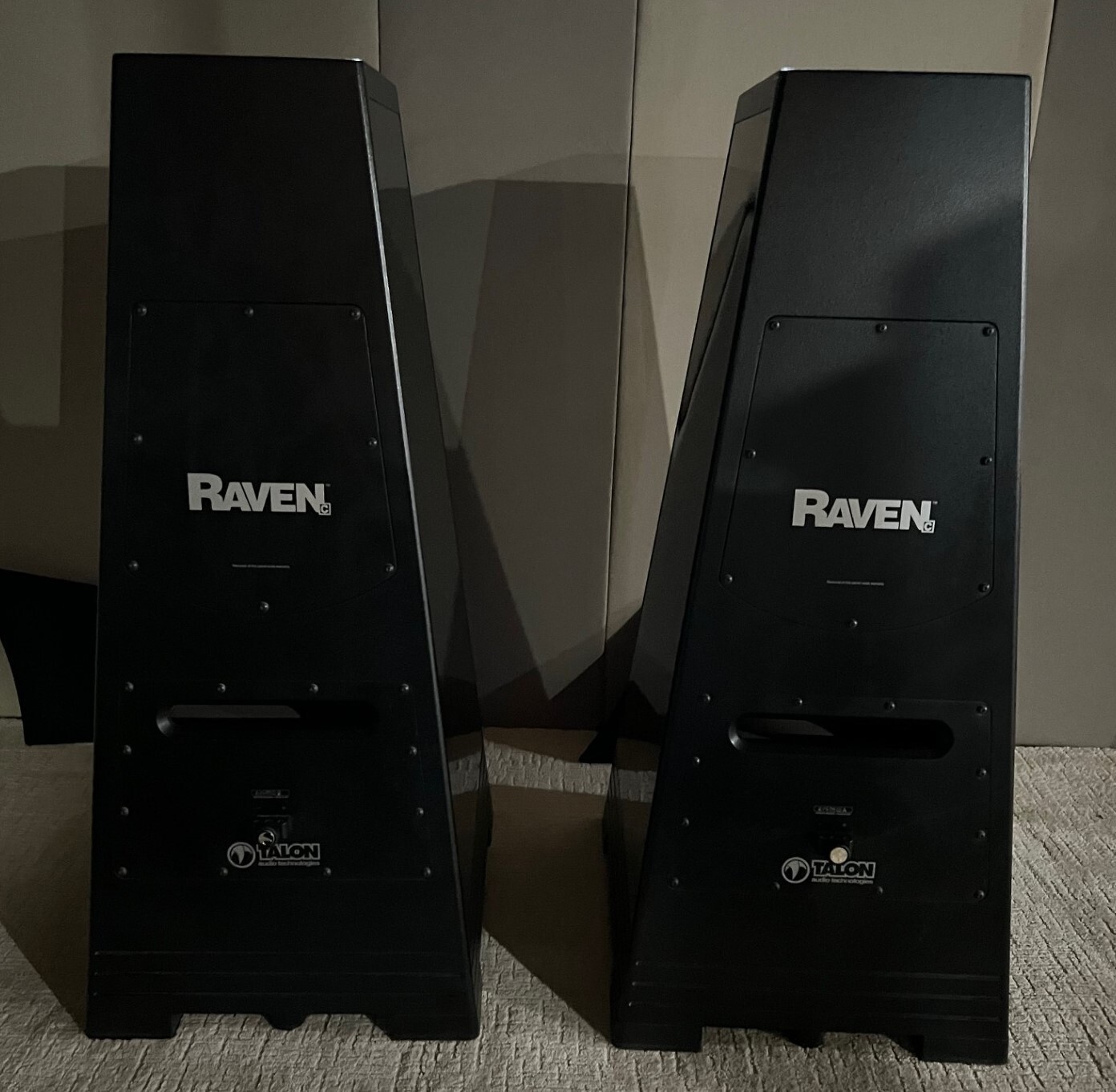 Talon Audio - Raven C Speakers - Audiophile Loudspeakers | eBay