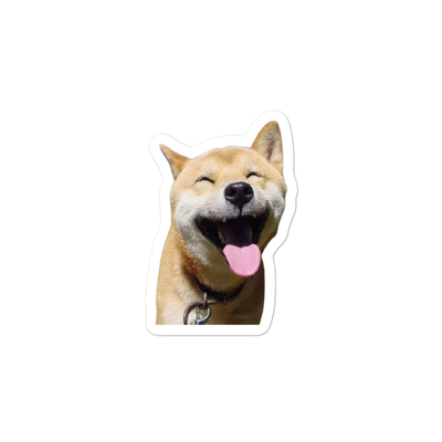 Animales Riendo Memes