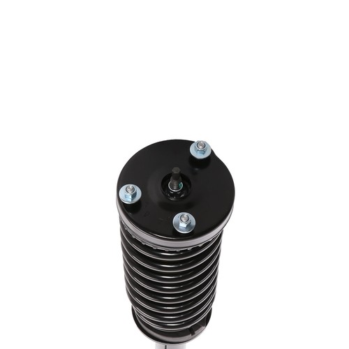 Suspension Strut and Coil Spring Assembly-RWD PERFORMANCE RIDE ...