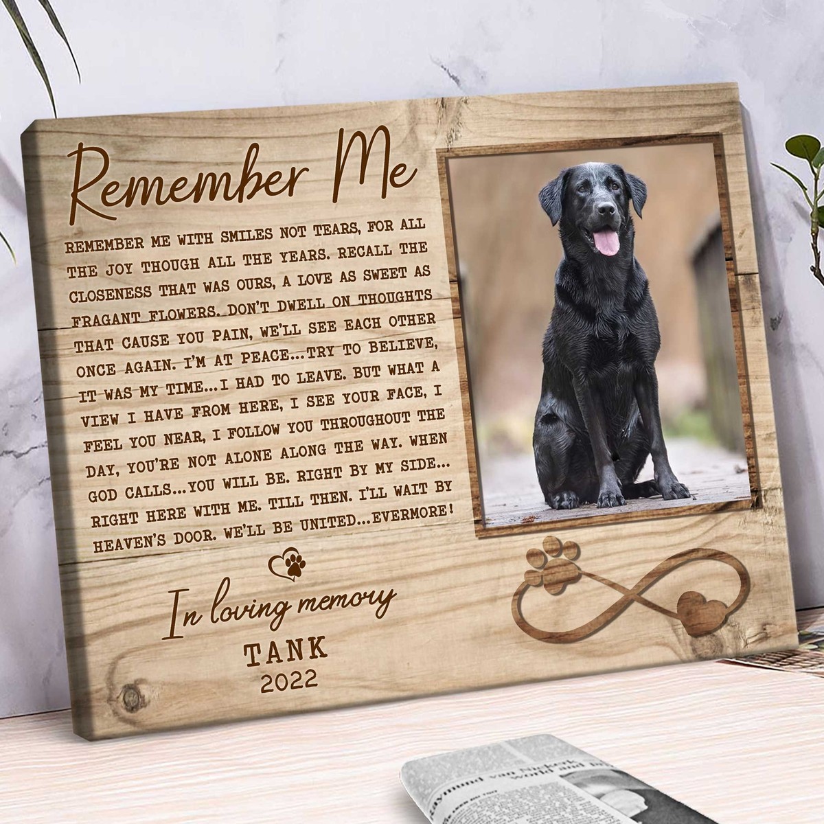 Will My Dog Remember Me After 2 Years