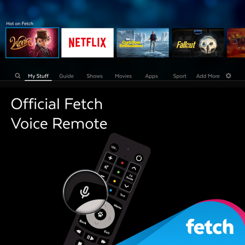 Fetch Voice Remote: Suits Mighty, Mini 4K & Mini | eBay