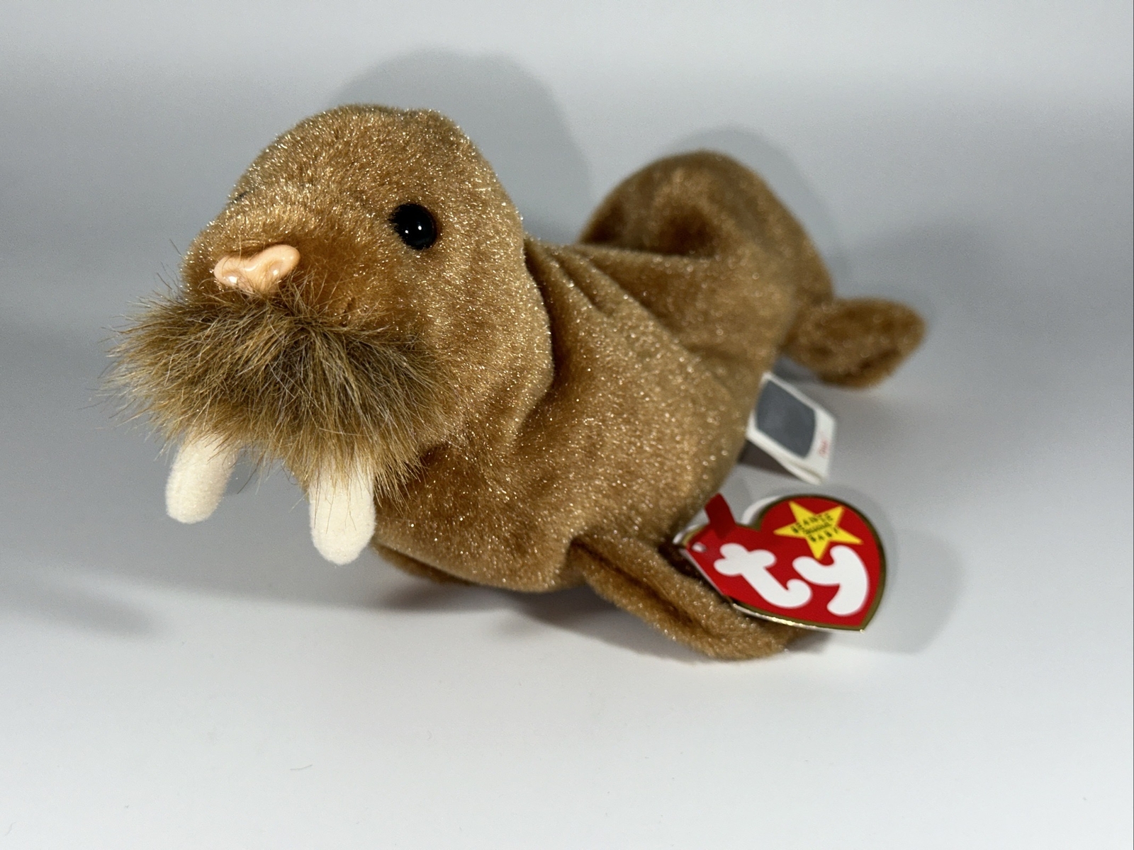 TY Beanie Baby Paul the Walrus 1999 New with Tag Mint condition | eBay