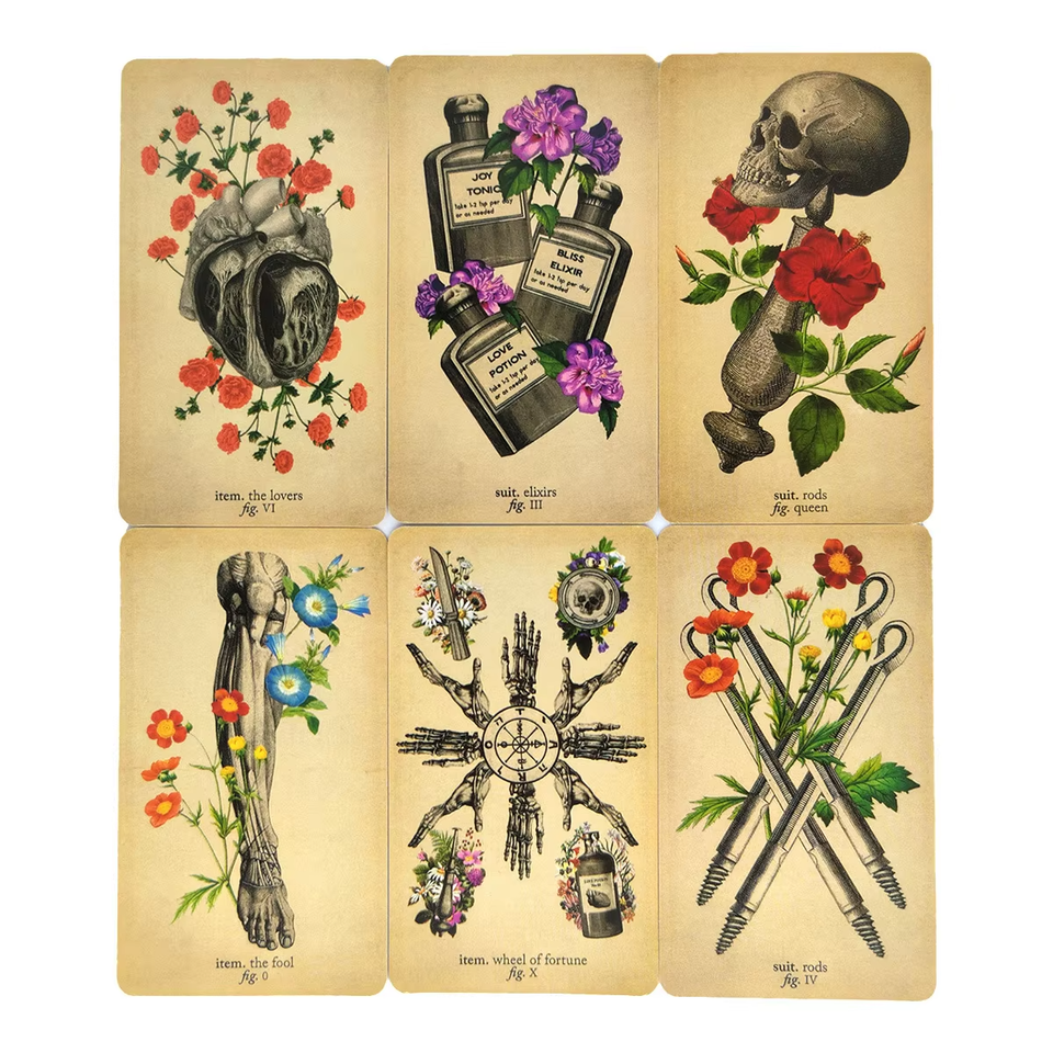 Antique Anatomy Tarot Deck 78 Cards Vintage Collectible Divination ...