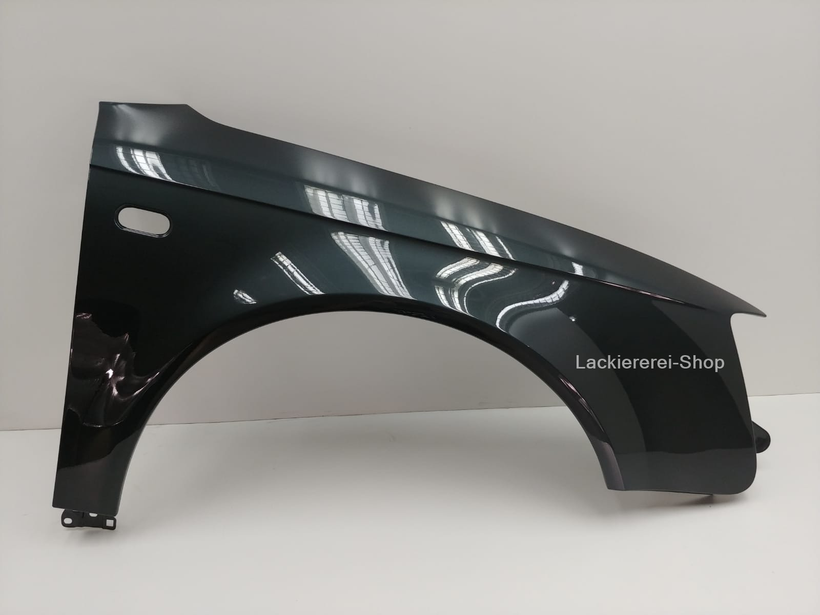 Seat Exeo 2008-2013 KOTFLÜGEL VORNE LACKIERT IN WUNSCHFARBE NEU ...